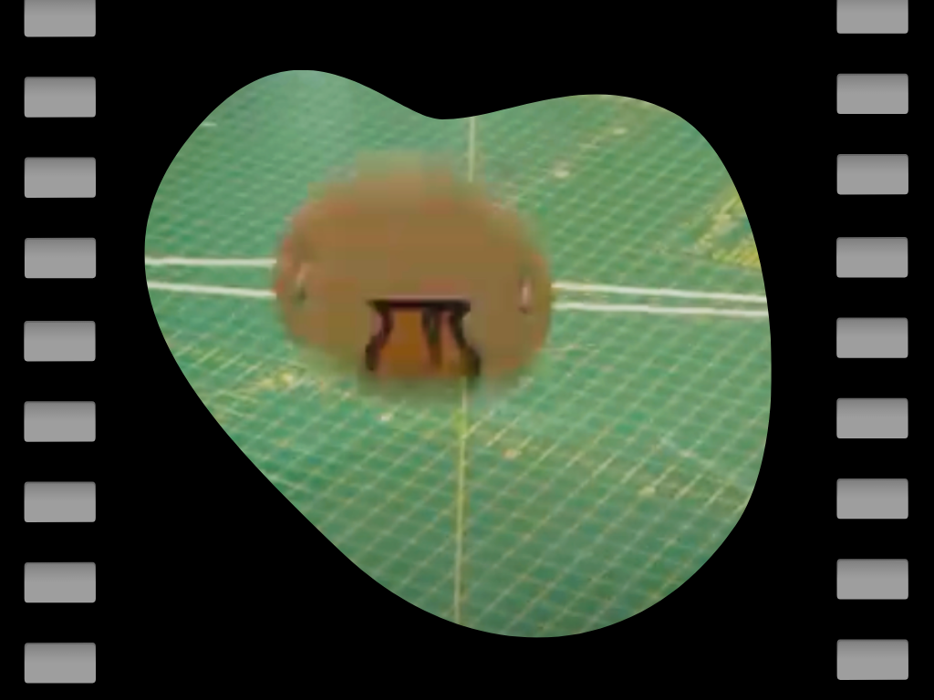 Moviemakers: Make a Wonder Turner - Teachers' Corner